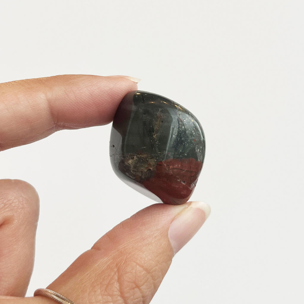 Bloodstone Tumble - Crystal Store – Almanac Supply Co.