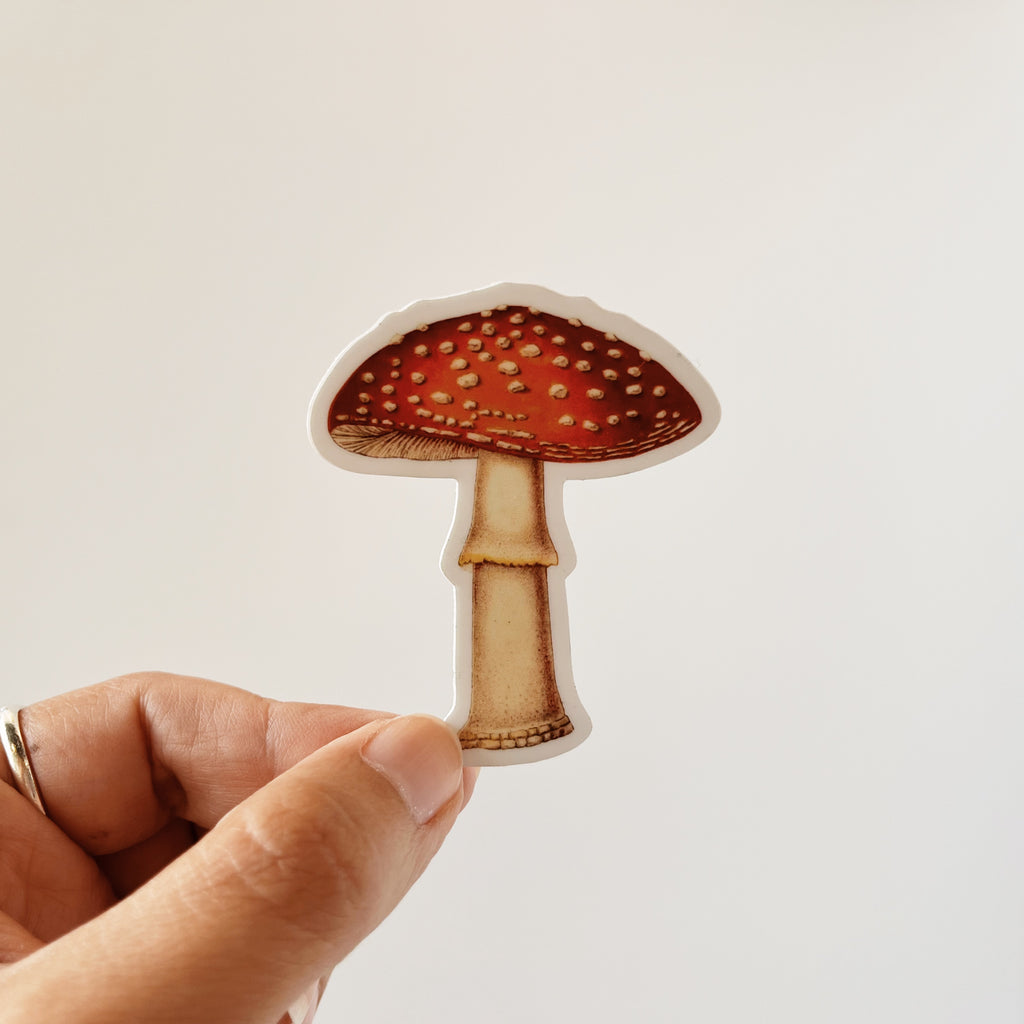 Red Mushroom Sticker - Vinyl Stickers - Nature Store – Almanac Supply Co.