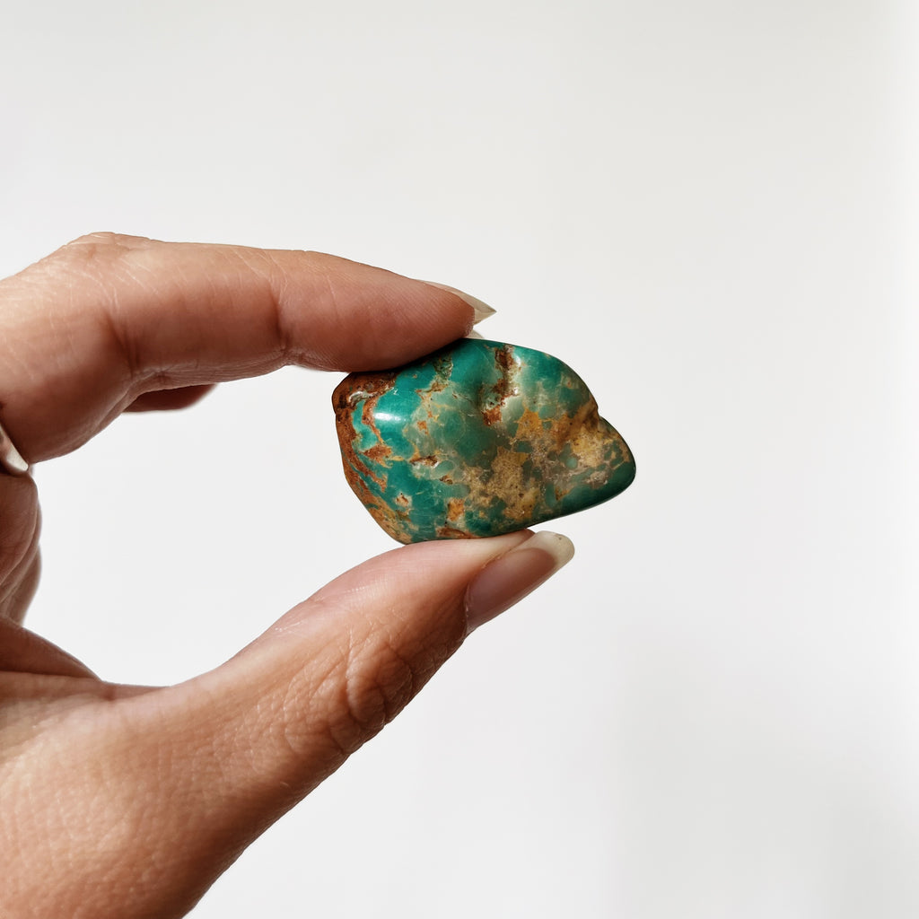 Turquoise Tumble - Crystal Store – Almanac Supply Co.