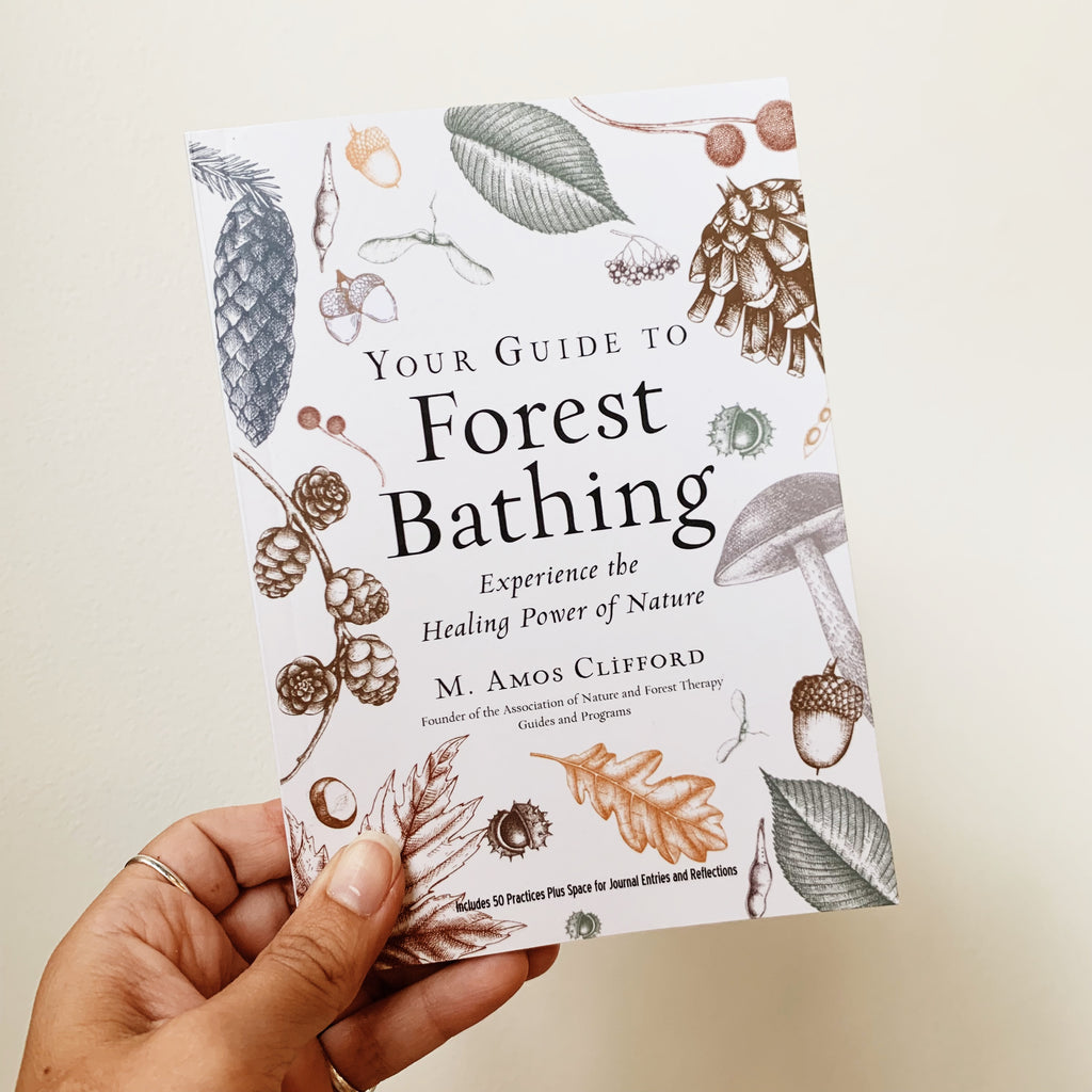 Your Guide to Forest Bathing - Book Store – Almanac Supply Co.
