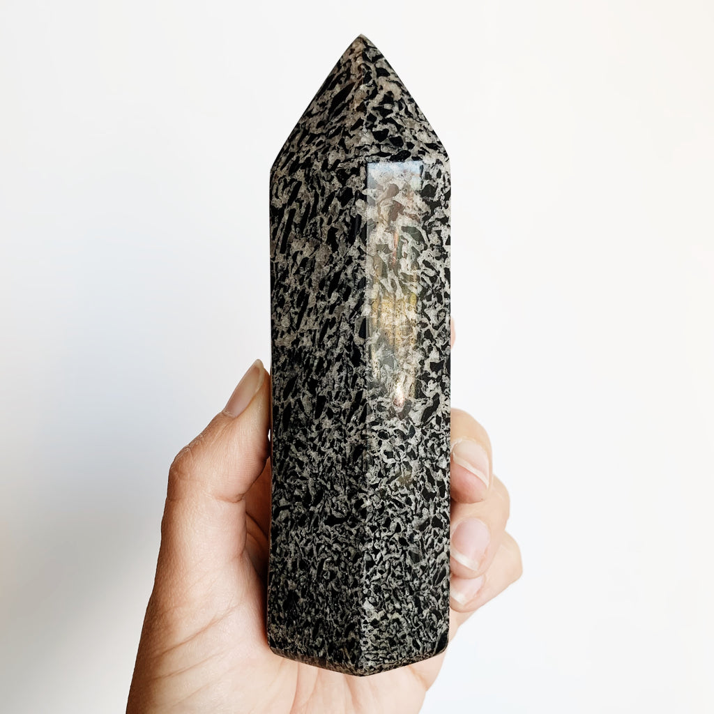 Graphic Tourmaline Tower - Crystal Store – Almanac Supply Co.