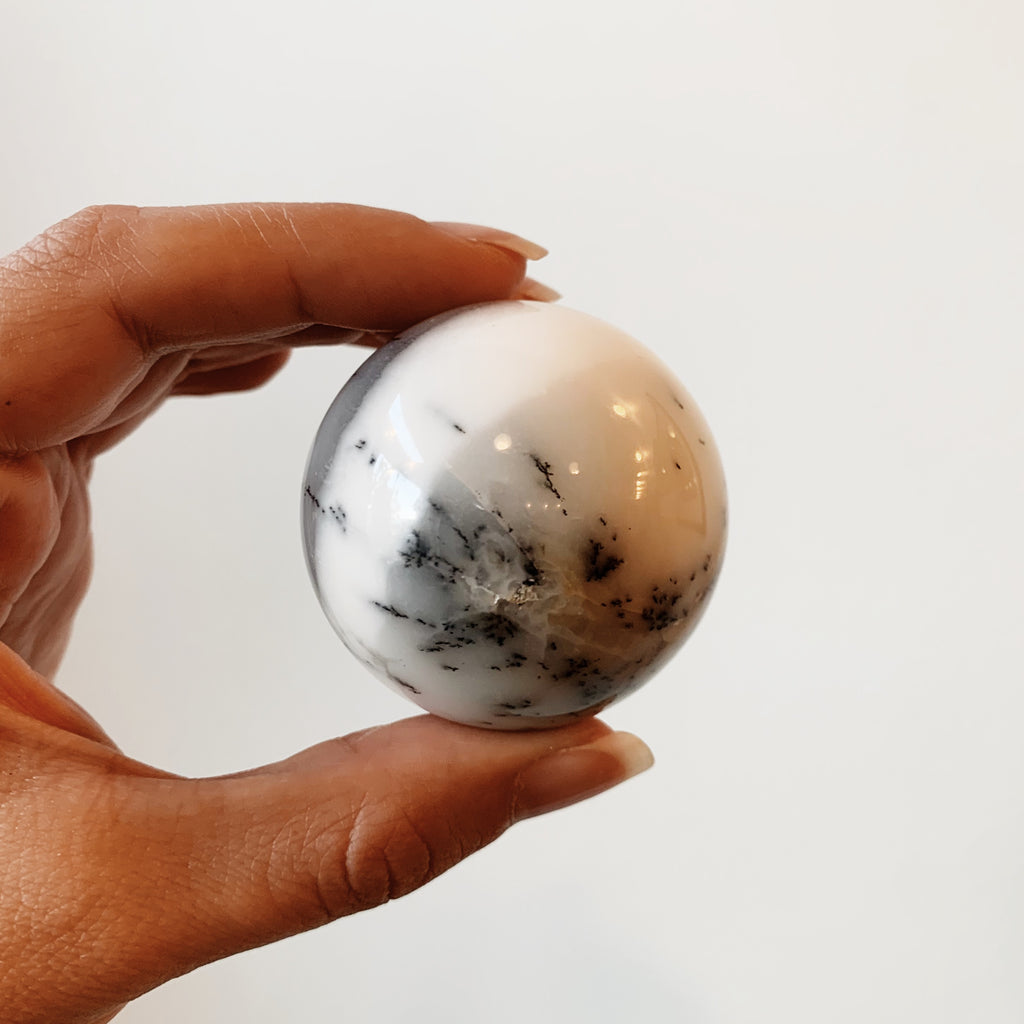 White Dendritic Agate Sphere - Crystal Store – Almanac Supply Co.