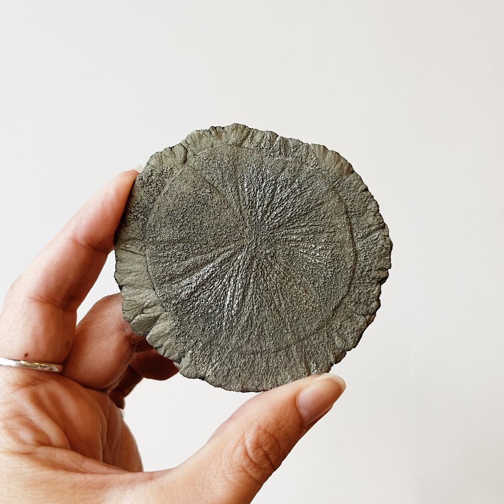 Pyrite Sun - Mineral Shop – Almanac Supply Co.
