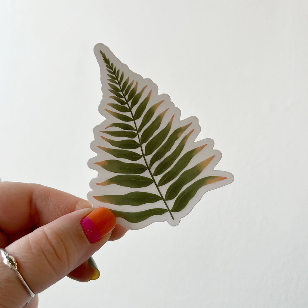 Boston Fern Sticker - Vinyl Stickers - Nature Store – Almanac Supply Co.